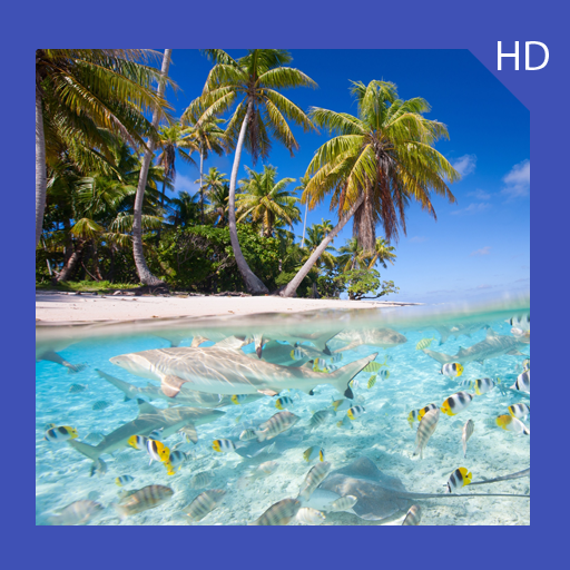 Tropical Ocean Wallpaper HD Free:www.amazon.com:Appstore for Android