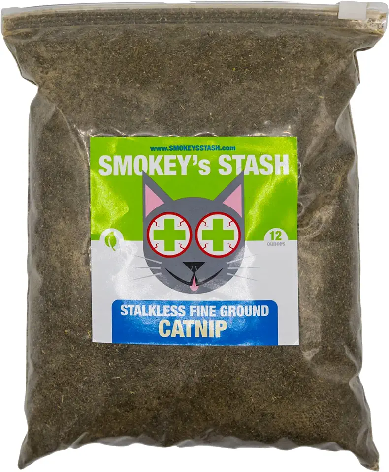 Is It Safe For Humans To Smoke Catnip? Exploring The Effects And ...