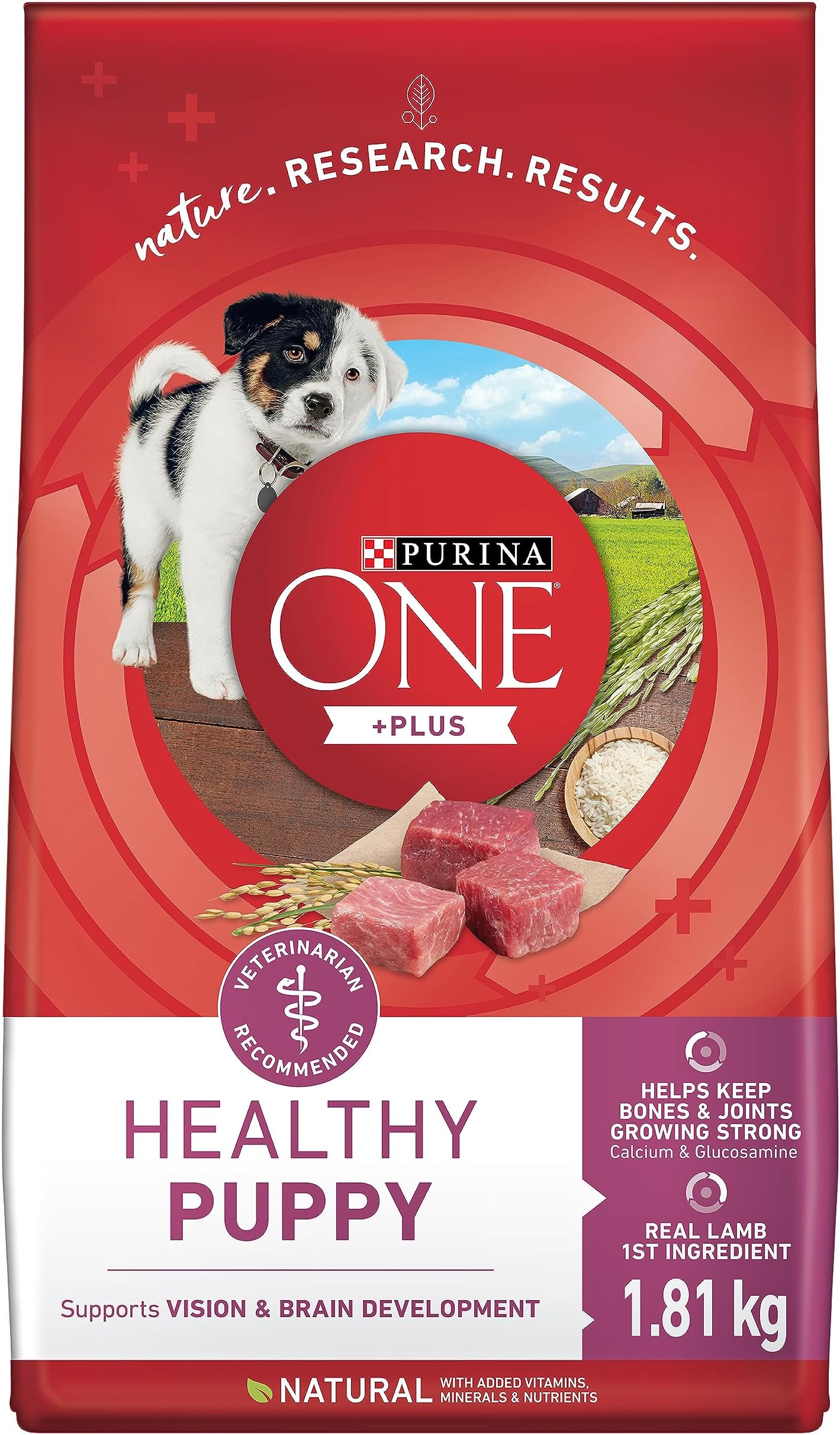 Purina ONE +Plus Dry Puppy Food with Lamb - 1.81 kg Bag : Amazon.ca ...