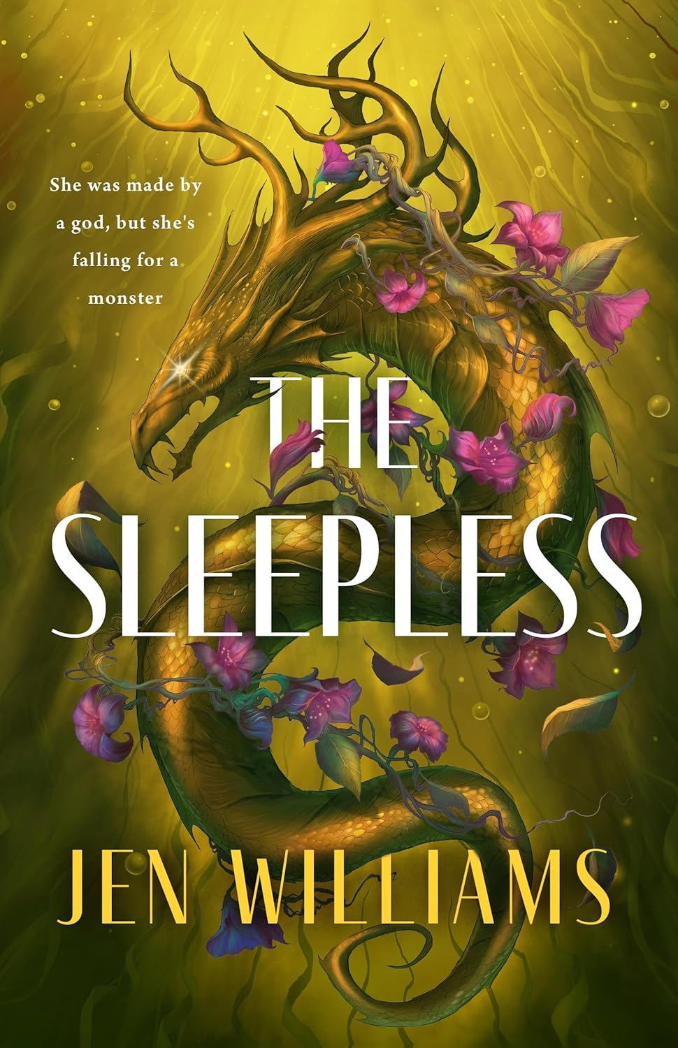 Amazon.com: The Sleepless eBook : Williams, Jen: Kindle Store