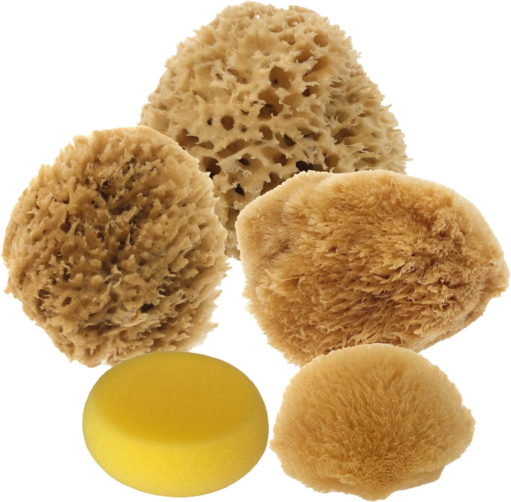 Natural Sea & Synthetic Sponges - Assorted Sizes 7pc Value Pack for ...