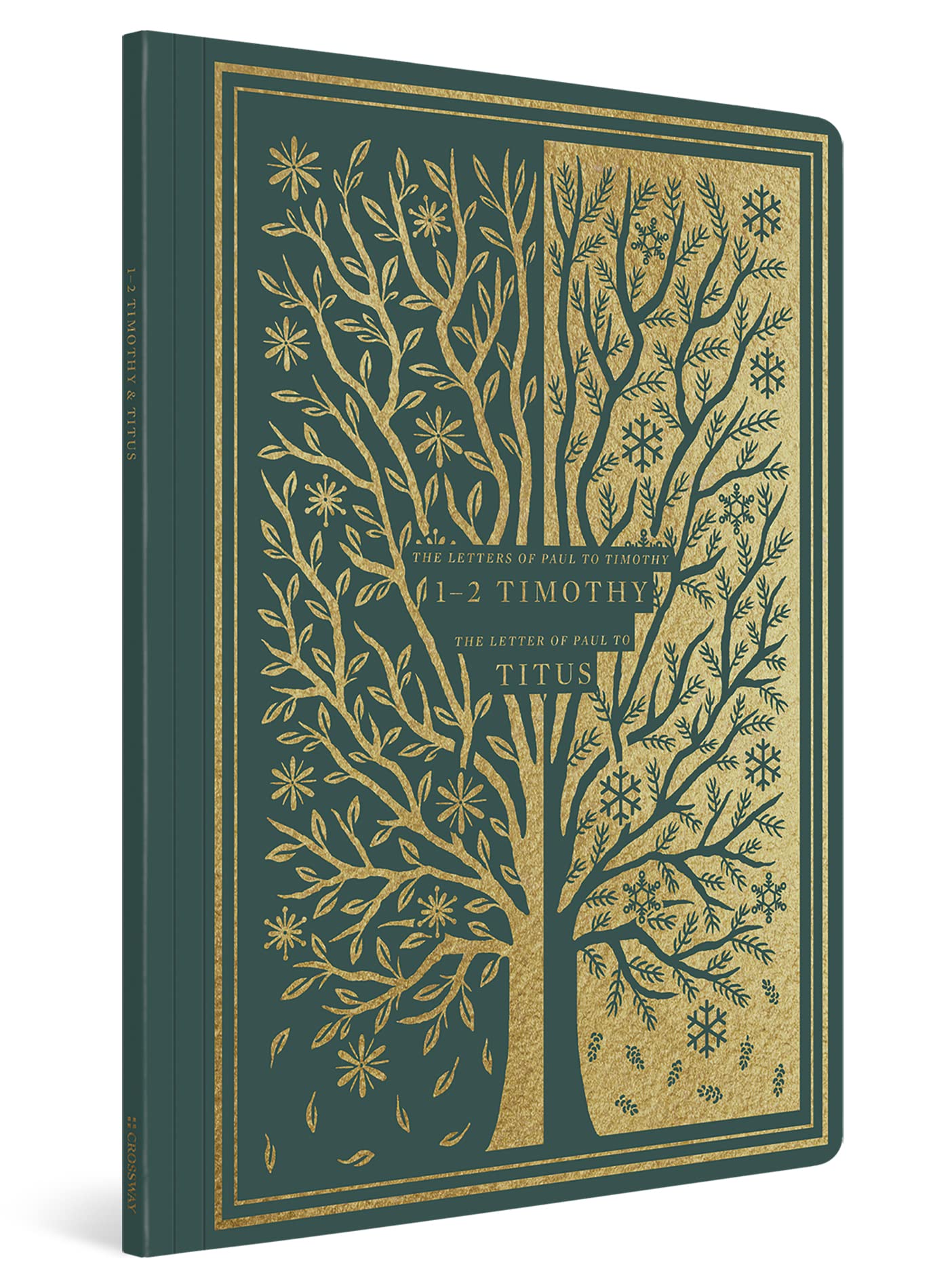 ESV Illuminated Scripture Journal: 1–2 Timothy and Titus (Paperback ...