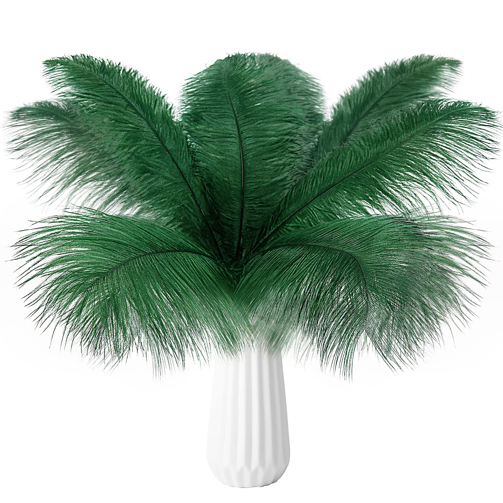 Amazon.com: THARAHT Blackish Green Ostrich Feathers 24pcs Natural Bulk ...