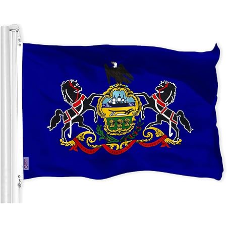Amazon.com: Annin Flagmakers Pennsylvania State Flag USA-Made to ...