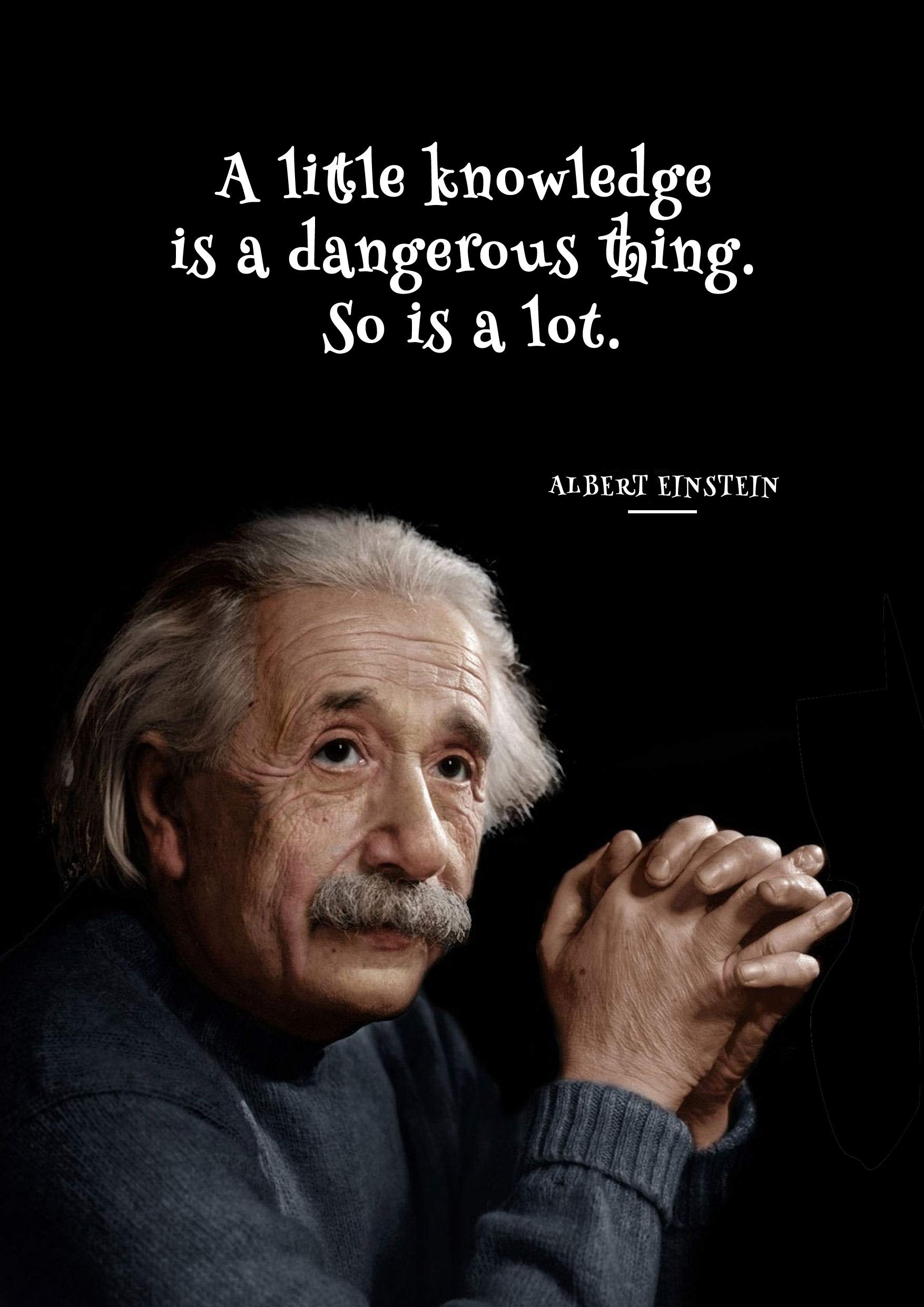 Wisdom Einstein Quotes 79 Albert Einstein Quotes (On Life,