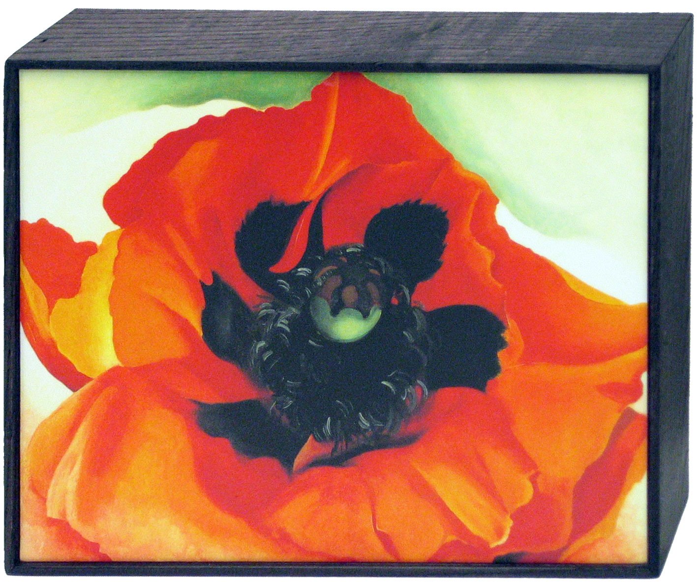 Amazon.com: Georgia O'Keeffe - Poppy 1927 Art Print Art Block: Prints ...