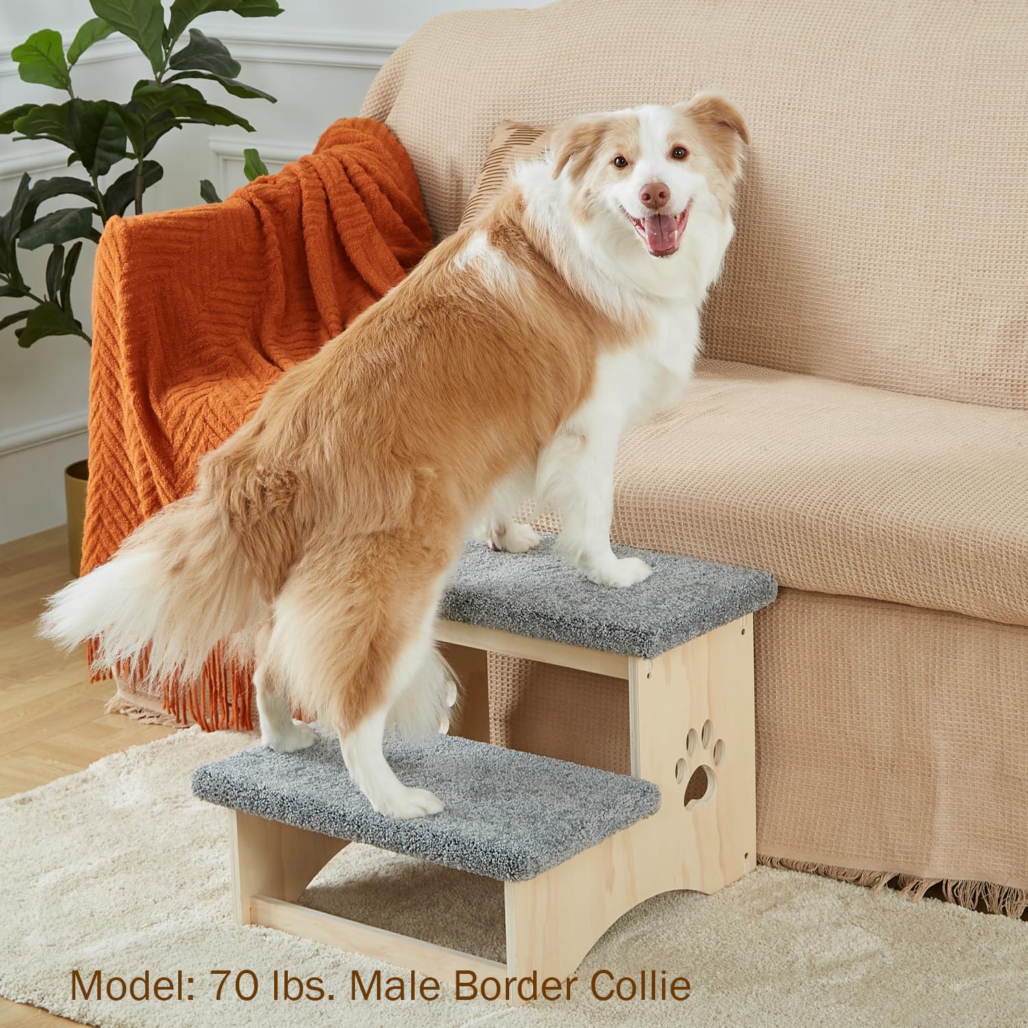 Snapklik.com : Zakkart Dog Stairs For Bed & Couch For Large Dogs, 2 ...