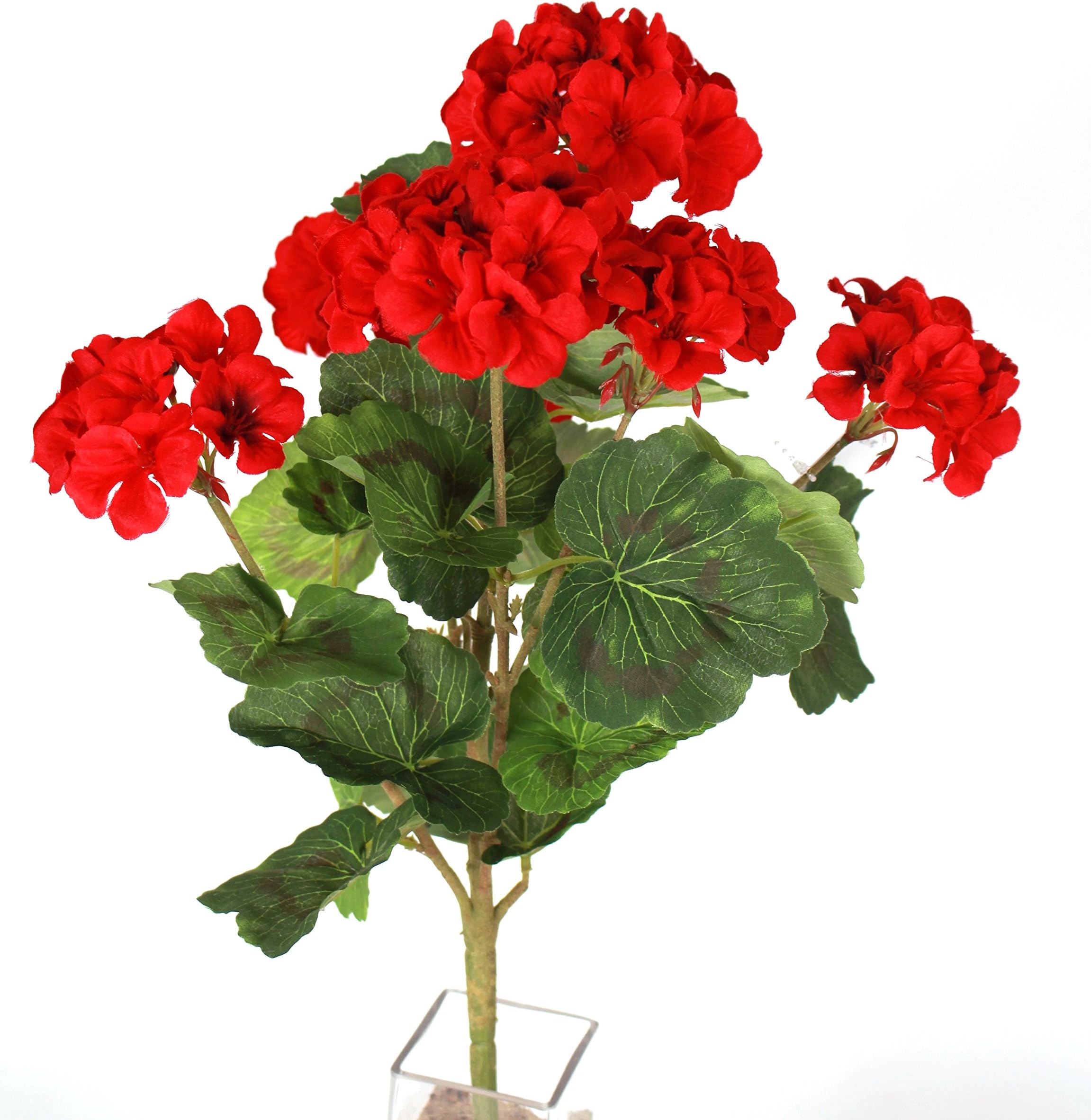 Amazon.com: DEX 17 Inch Geranium Bush Red with 7 Flower Heads ...