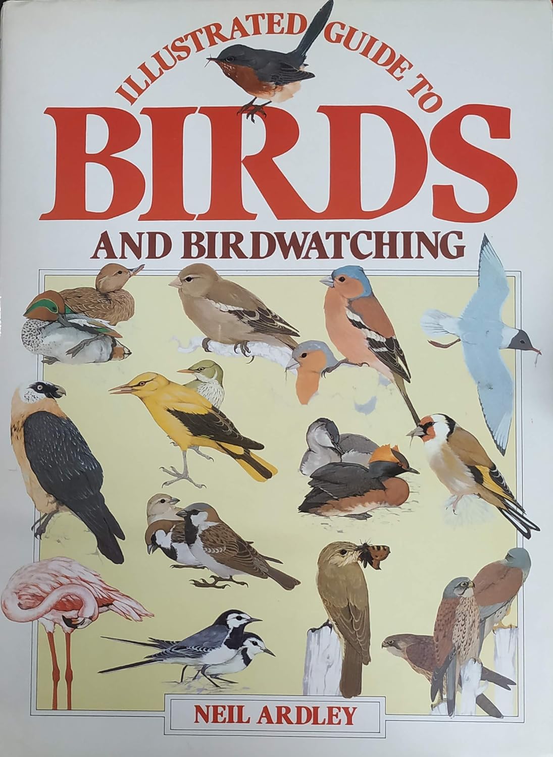 Illustrated Guide to Birds and Bird Watching (Kingfisher): Ardley, Neil ...
