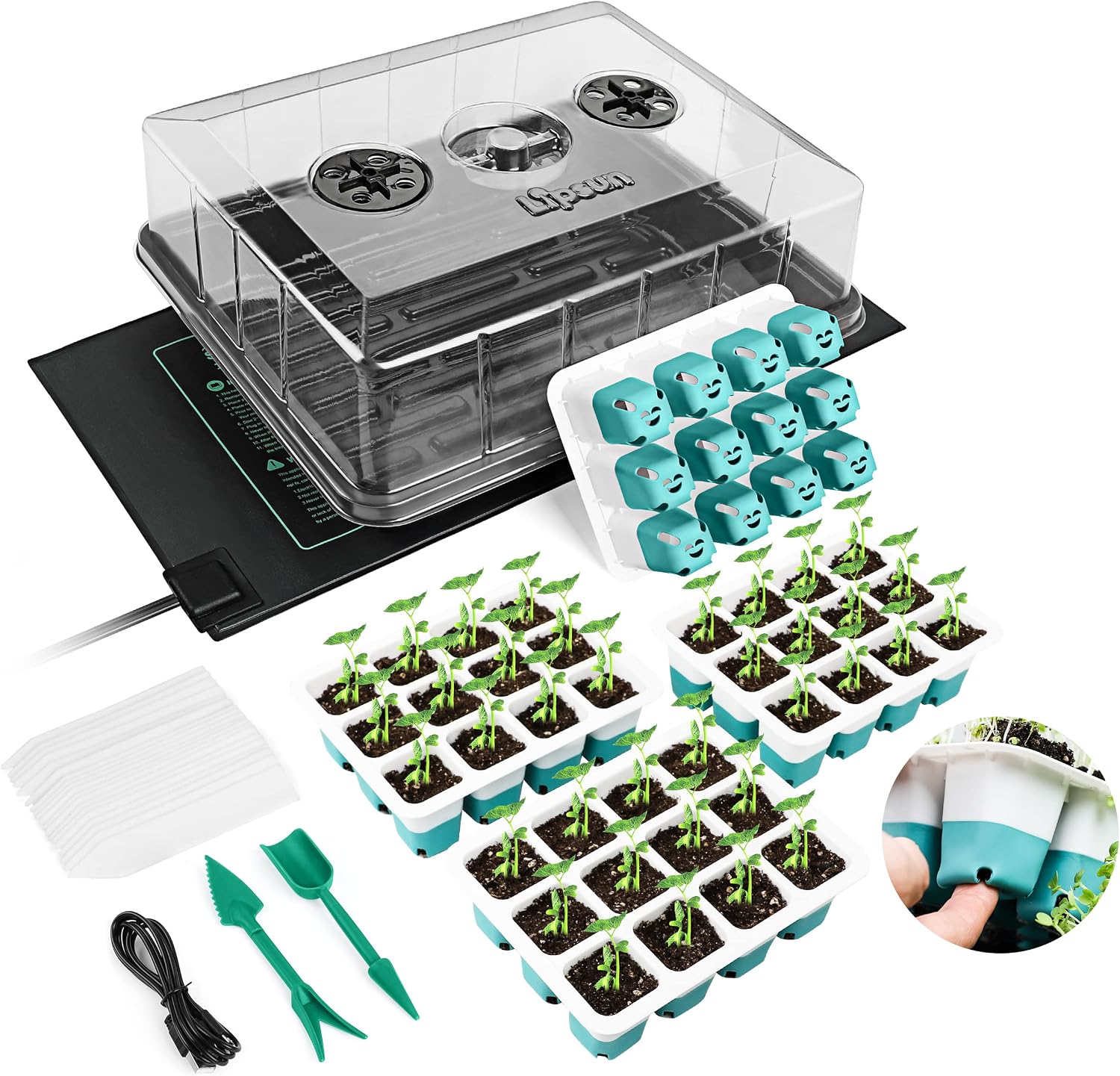 Amazon.com : LIPSUN Seed Starter Tray Kit with Grow Light, Seedling ...