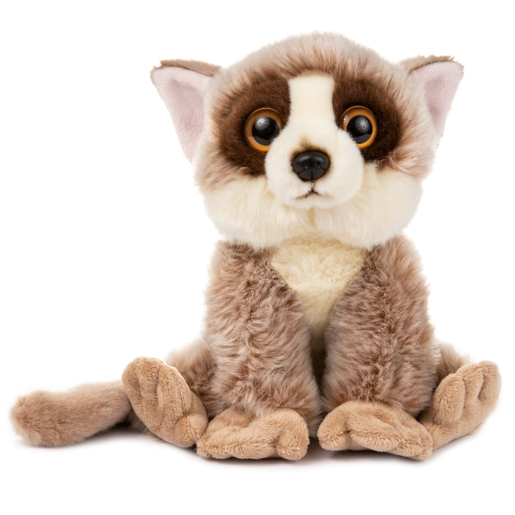 Bush Baby Pet