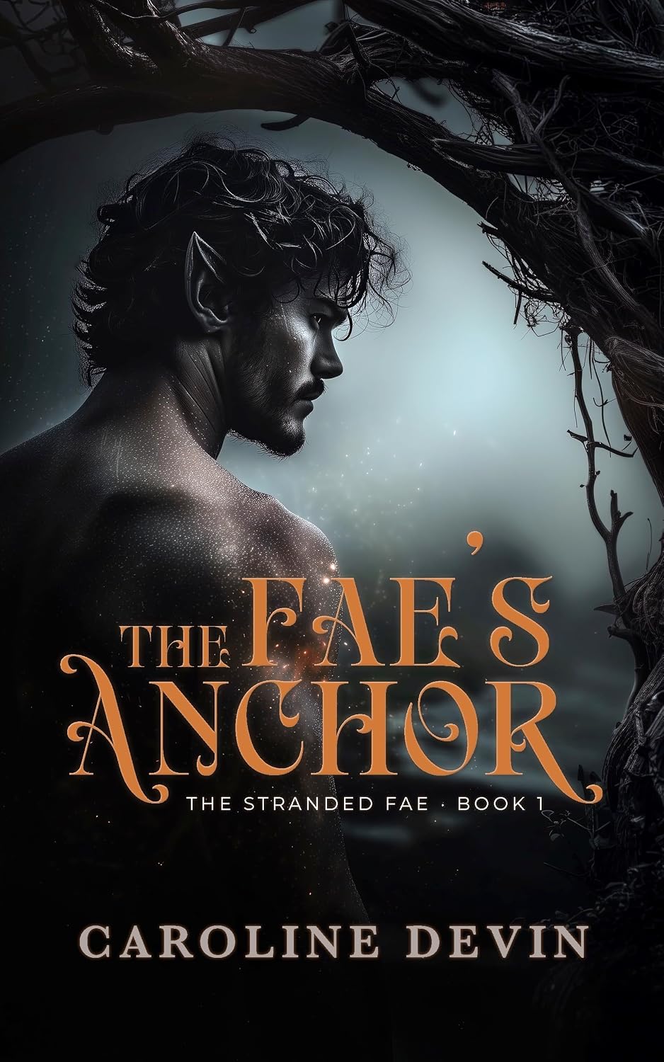The Fae's Anchor: A Fated Mates Fae Romance (The Stranded Fae Book 1 ...
