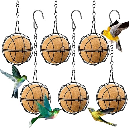 Amazon.com : Longzhuo 6Pcs Ball Bird Feeders, Bird Suet Ball Feeders ...