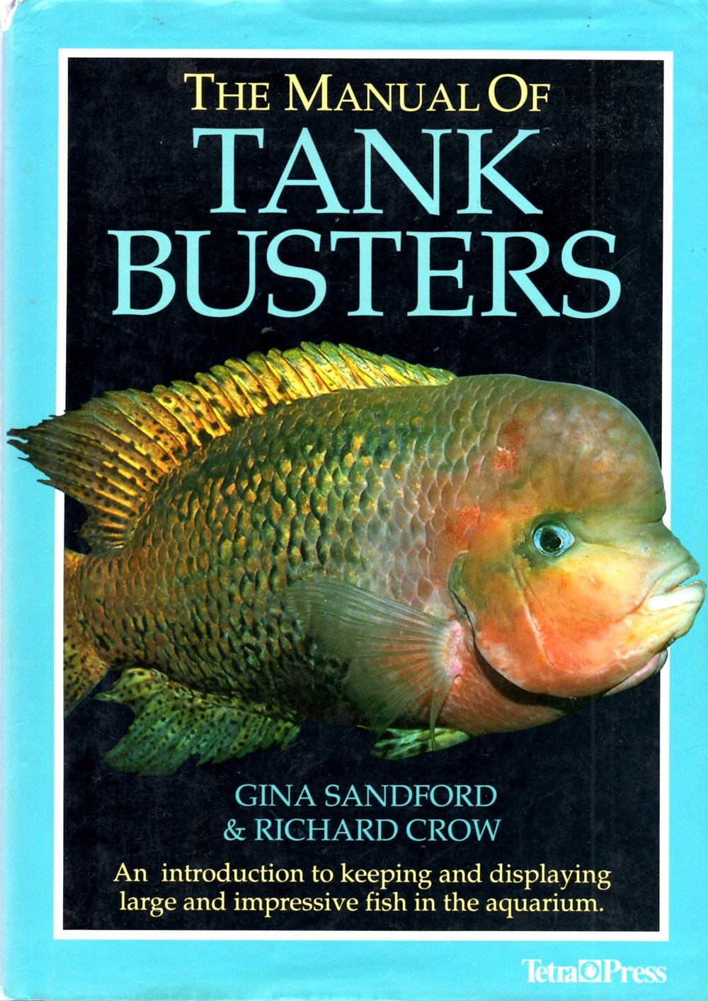 The Manual of Tank Busters: Sandford, Gina, Crow, Richard ...