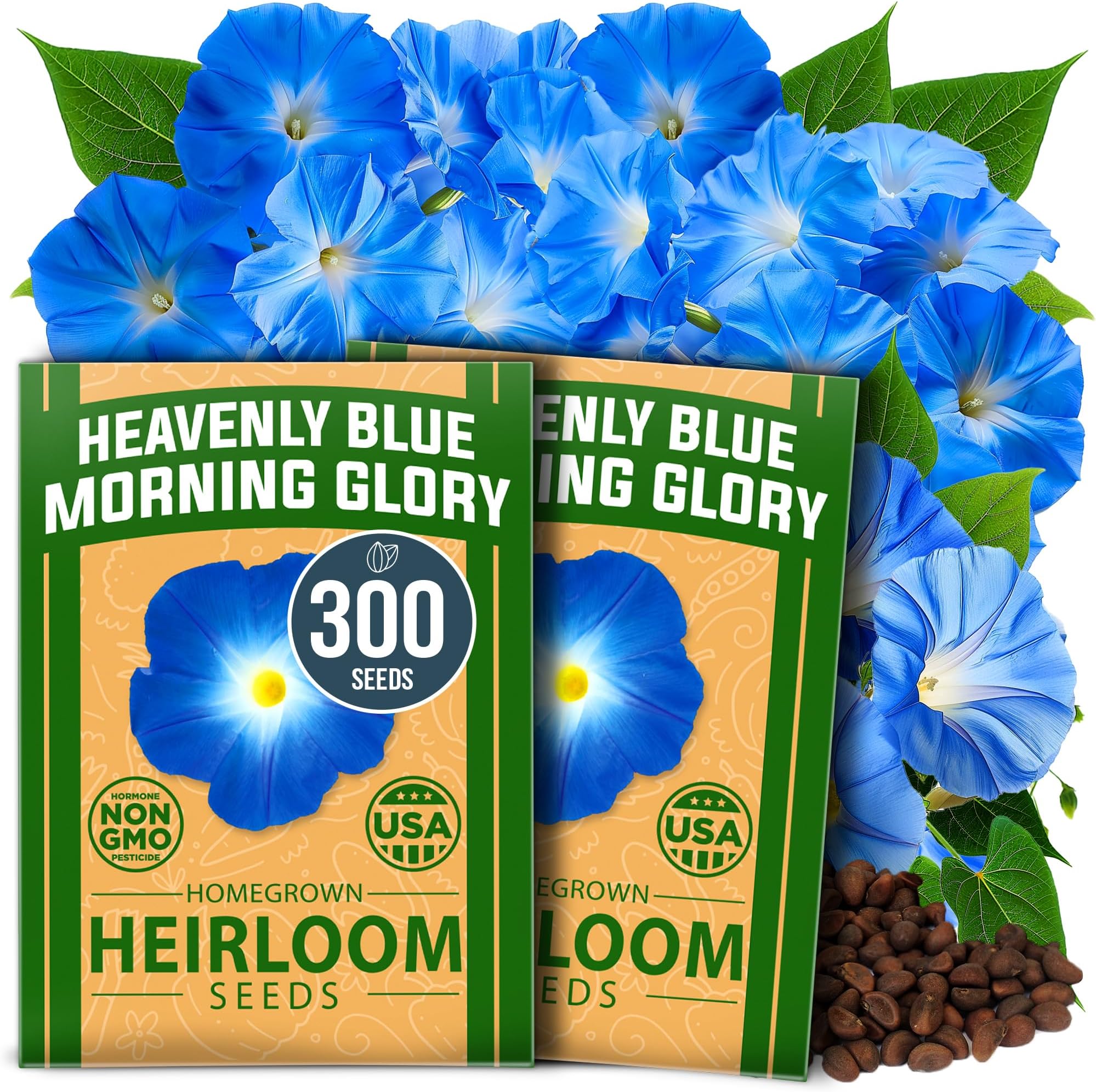 Amazon.com : HOME GROWN Morning Glory Seeds,Heavenly Blue (2 Pack) 300 ...