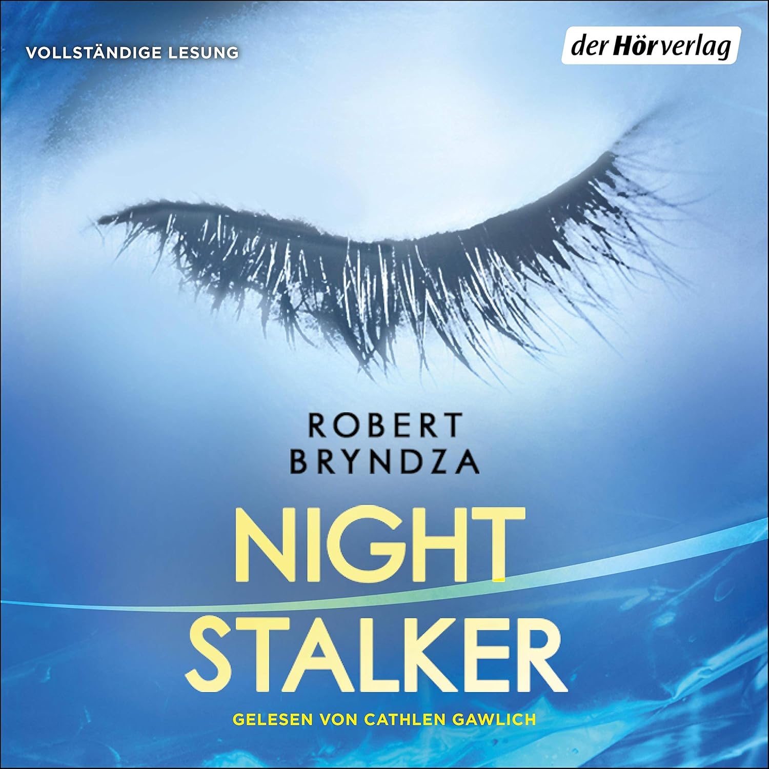 Amazon.com: Night Stalker: Detective Erika Foster 2 (Audible Audio ...