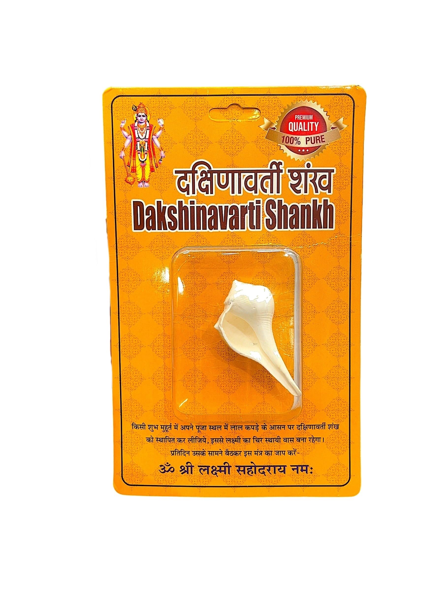 Buy happiness hub Dakshinavarti Shankh Original Pure White Small Size ...