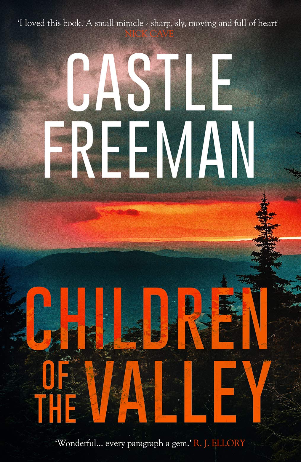 Children of the Valley (Lucian Wing) : Castle Freeman: Amazon.co.uk: Books