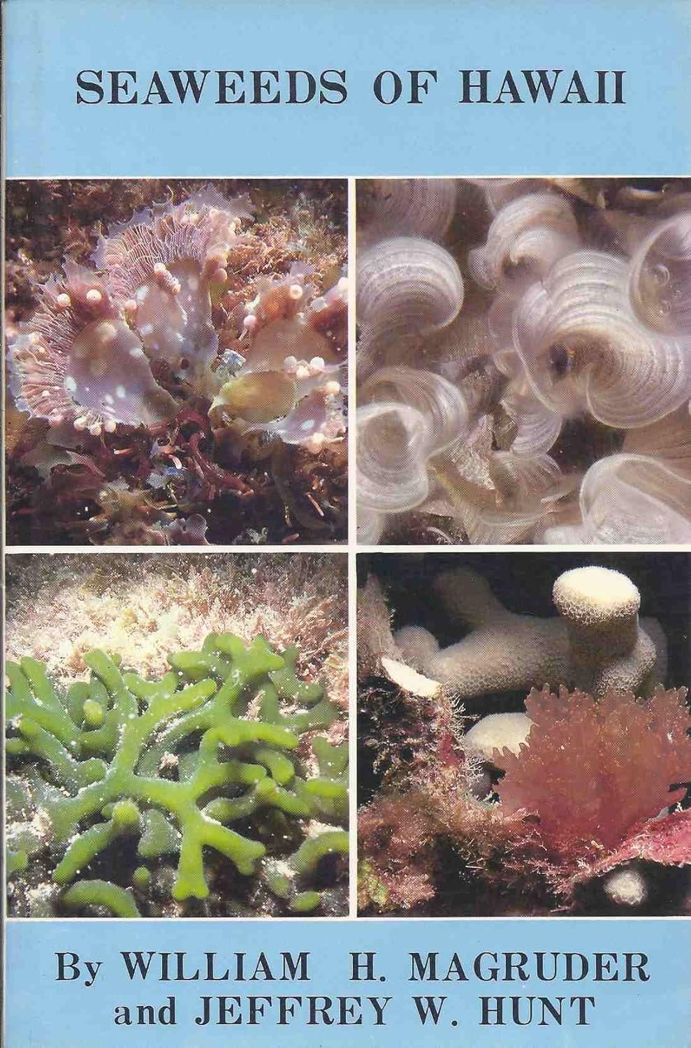 Seaweeds of Hawaii: A Photographic Identification Guide: Magruder ...