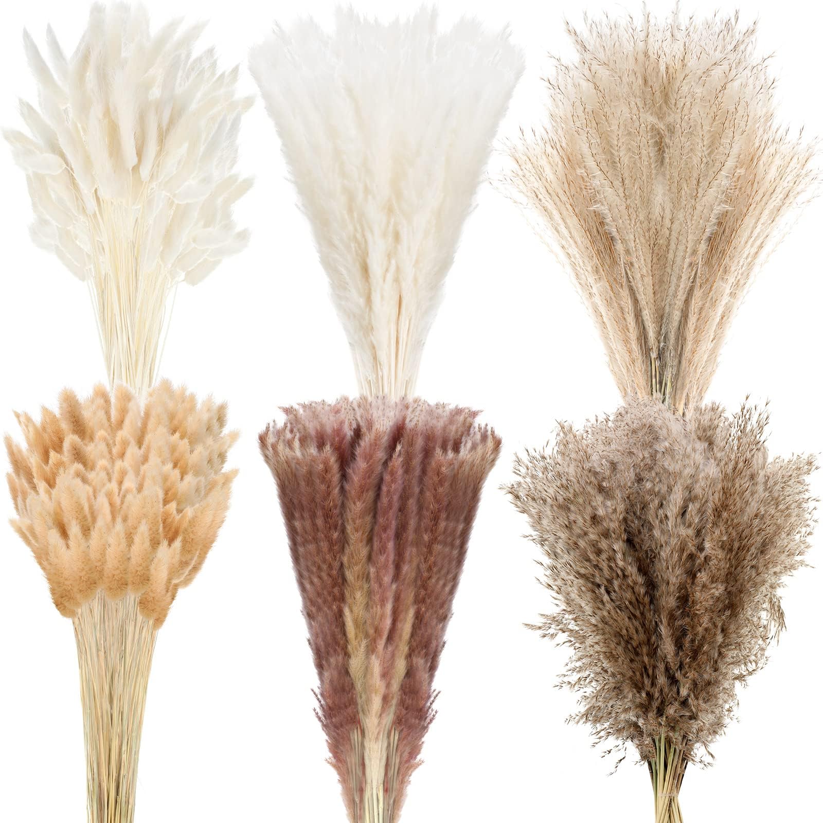 Amazon.com: Treela 330 Pcs Dried Pampas Grass Decor Natural Pampas ...