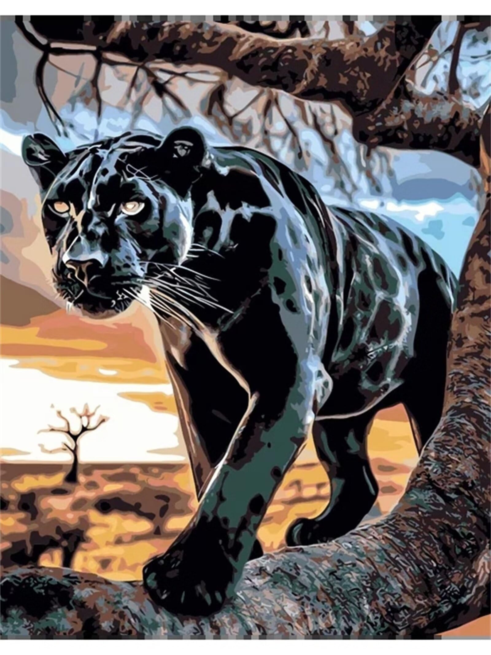 Disegno Di Puma A Colori Disegno Facile Di Bagheera Il Libro Della