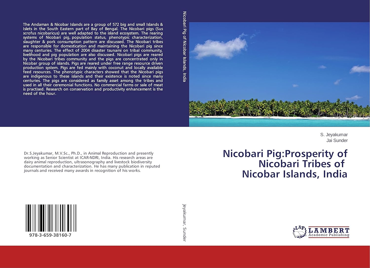 Nicobari Pig:Prosperity of Nicobari Tribes of Nicobar Islands India ...
