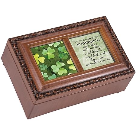 Amazon.com: Cottage Garden Irish Blessings Outnumber Woodgrain Rope ...