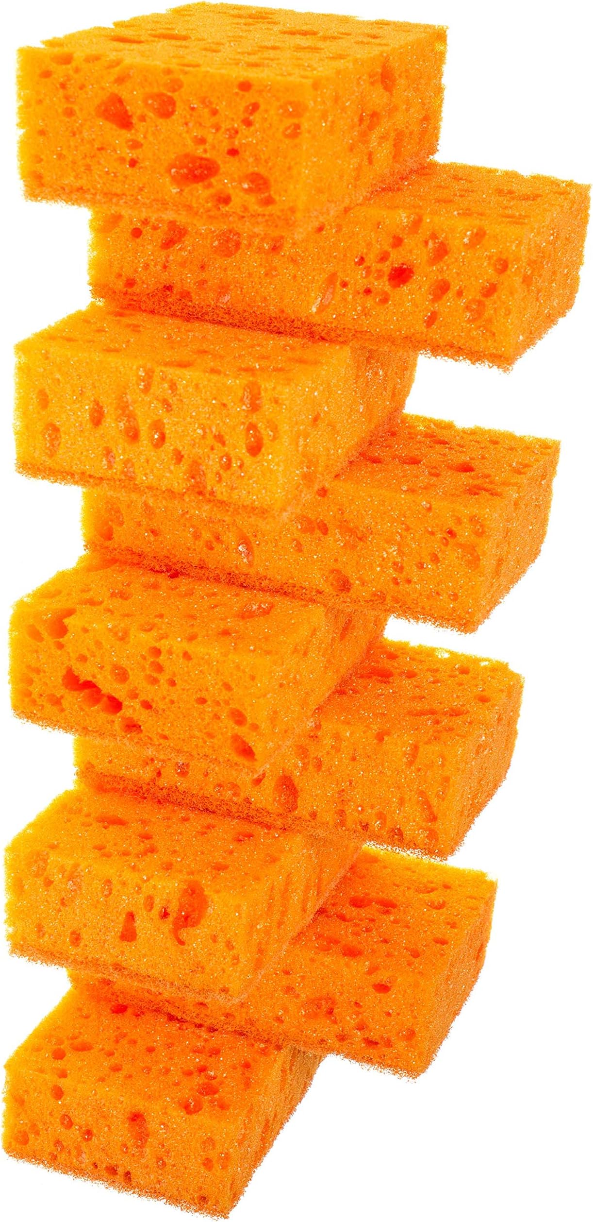 Amazon.com: Siege 2 Sided Fruit Orange Design Sponges (2 Pk), 647 ...