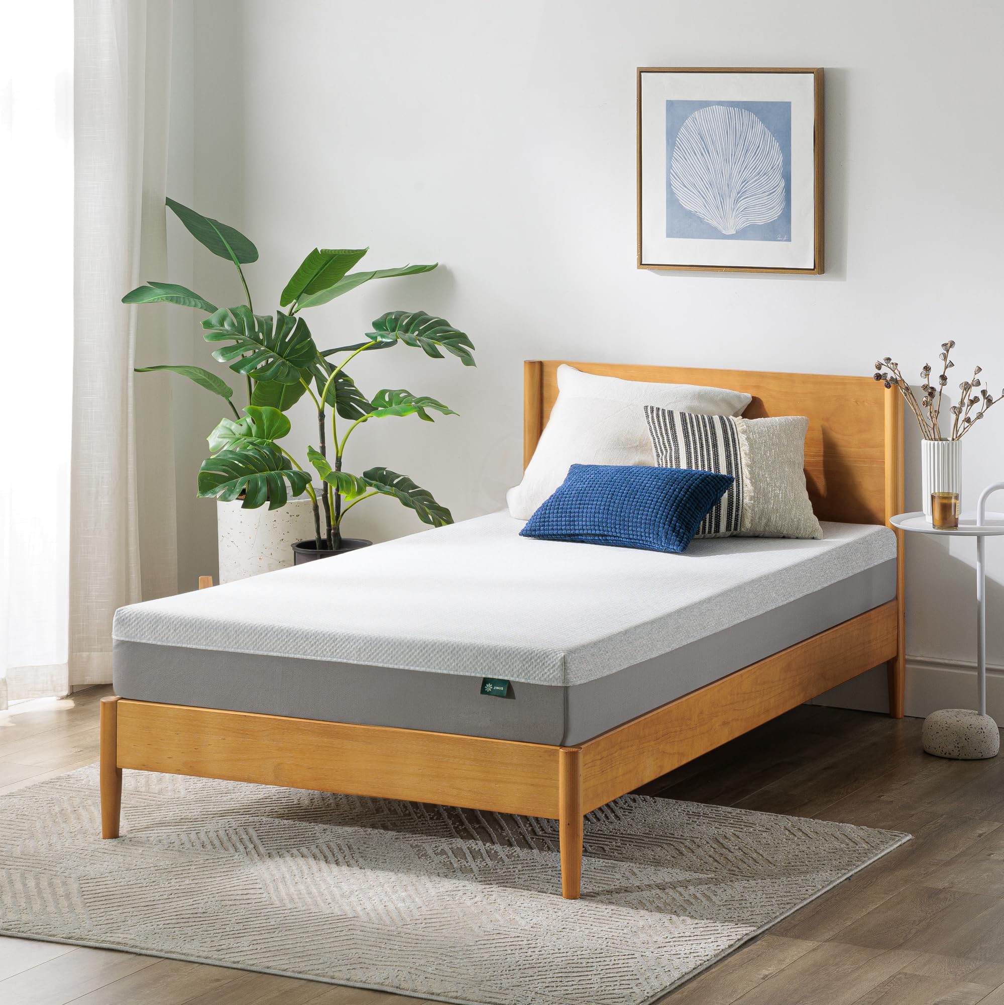 Amazon.com: Amazon Basics Memory Foam Mattress, Soft Plush Feel, 6 Inch ...