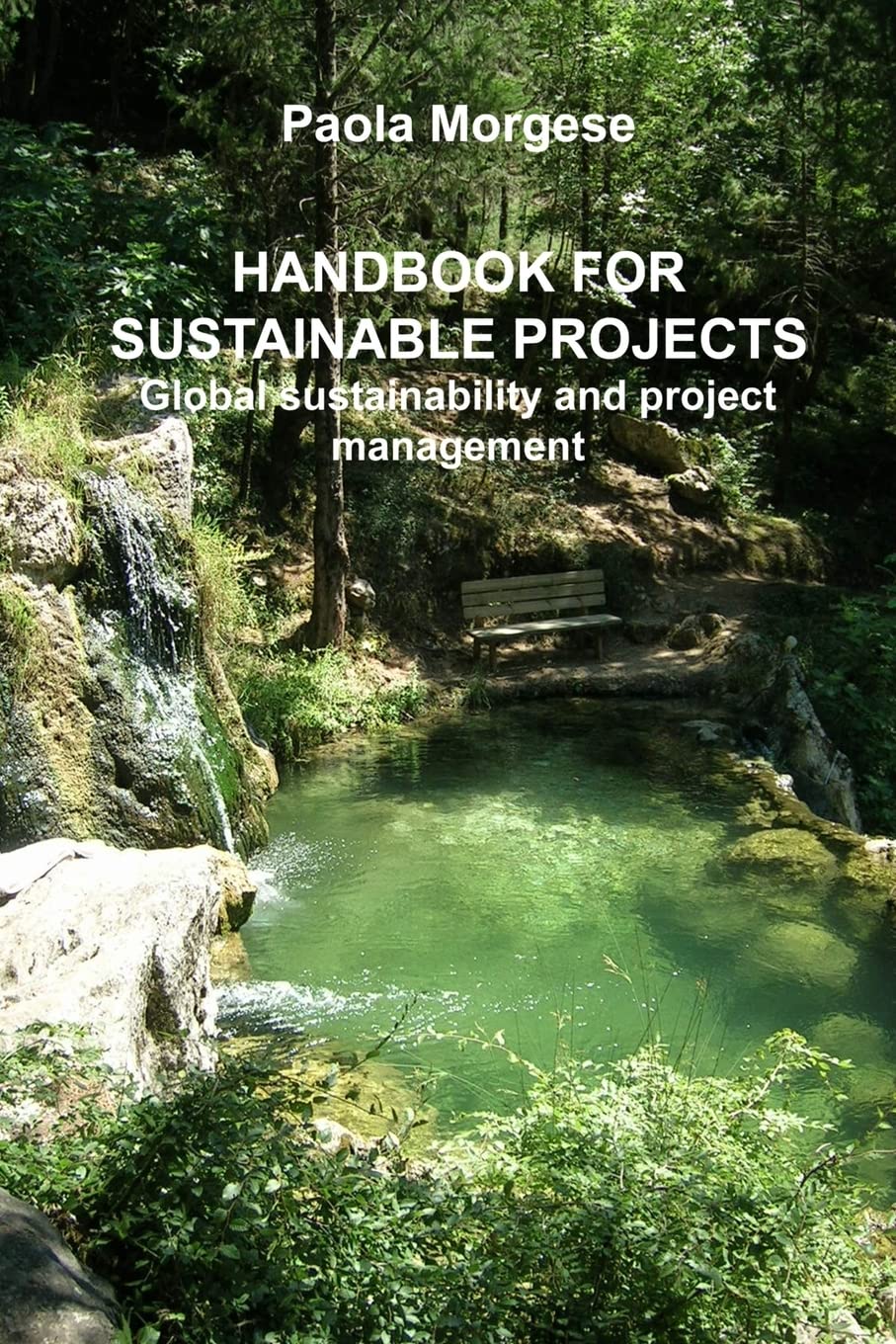 Amazon.com: HANDBOOK FOR SUSTAINABLE PROJECTS Global sustainability and ...