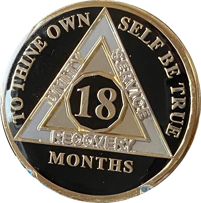 Amazon.com: 18 Month AA Medallion Classic Black Tri-Plate Sobriety Chip ...