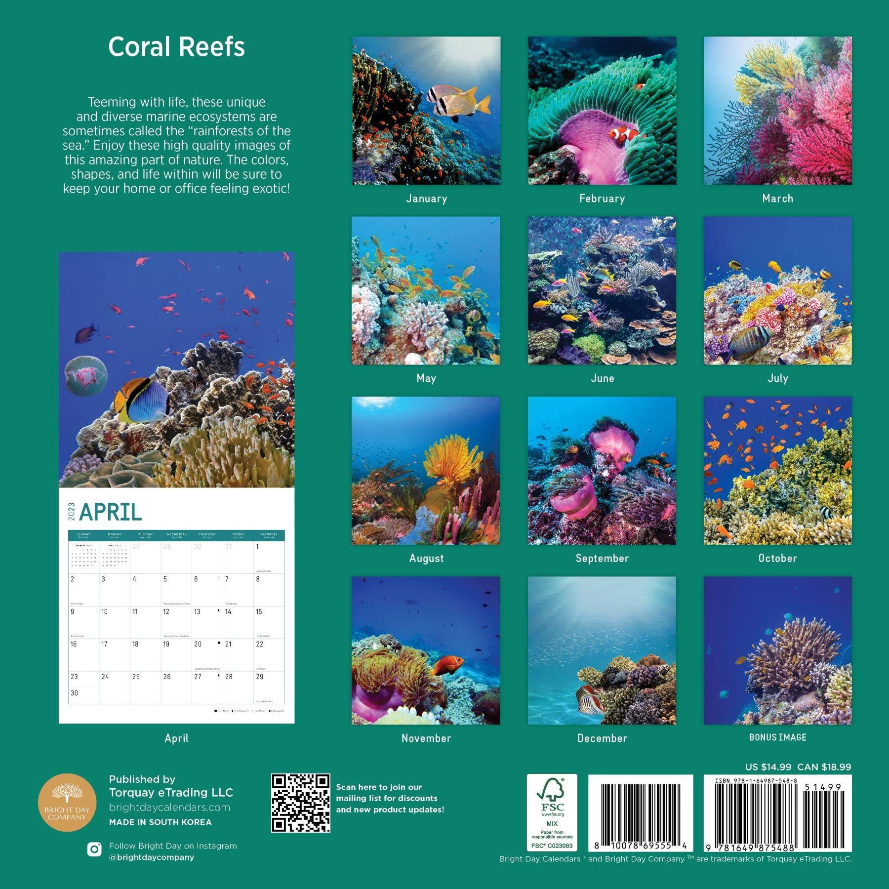 Reef Calendar 2023