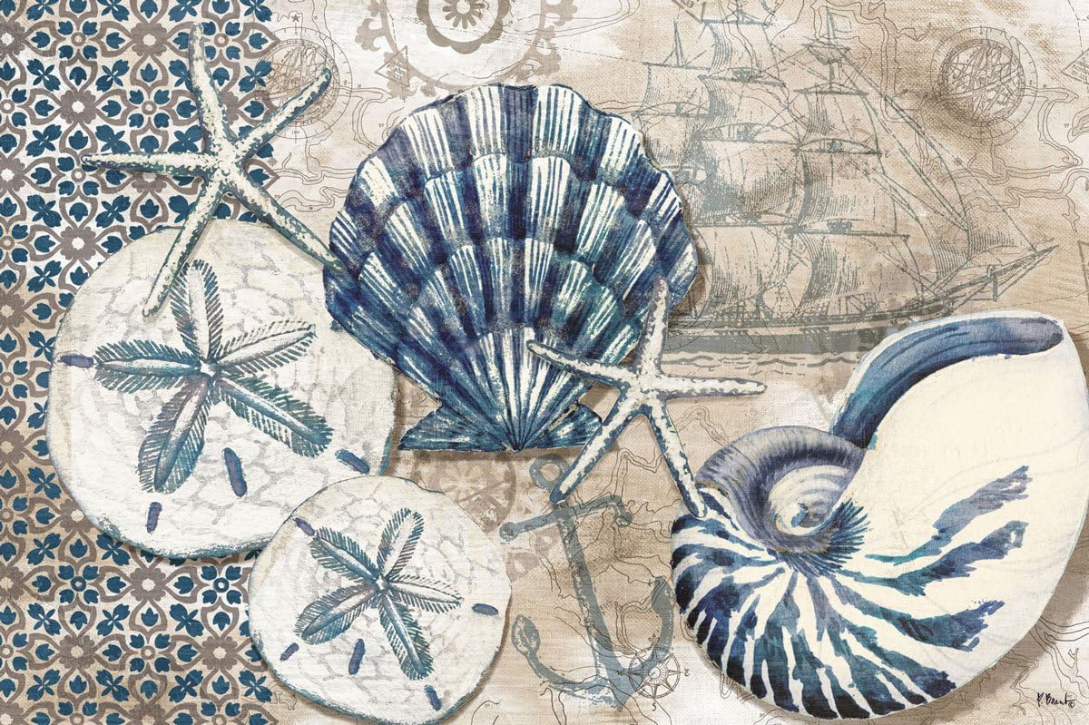 Amazon.com: Counterart Paper Placemat, Tide Pool Shells, 24-Pack : Home ...