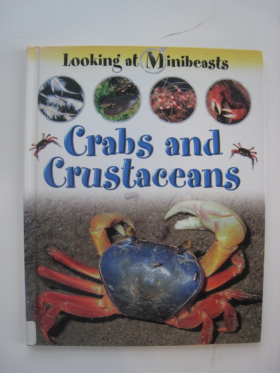 Crabs and Crustaceans (Looking at Minibeasts): Morgan, Sally ...