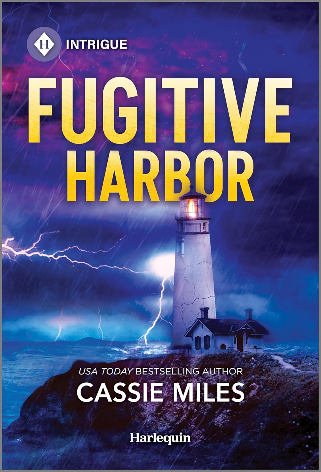 Amazon.com: Fugitive Harbor (Lighthouse Mysteries, 1): 9781335457196 ...