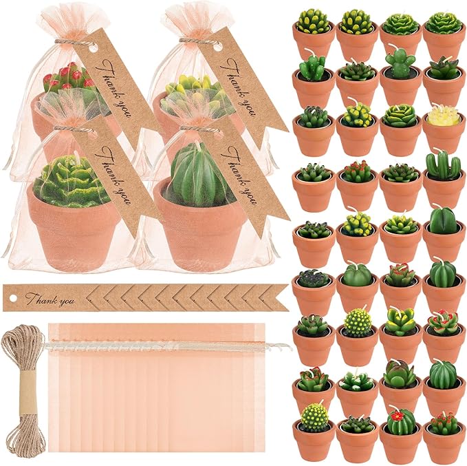 Amazon.com: MTLEE 48 Pcs Succulent Cactus Candles Set Mini Tealight ...