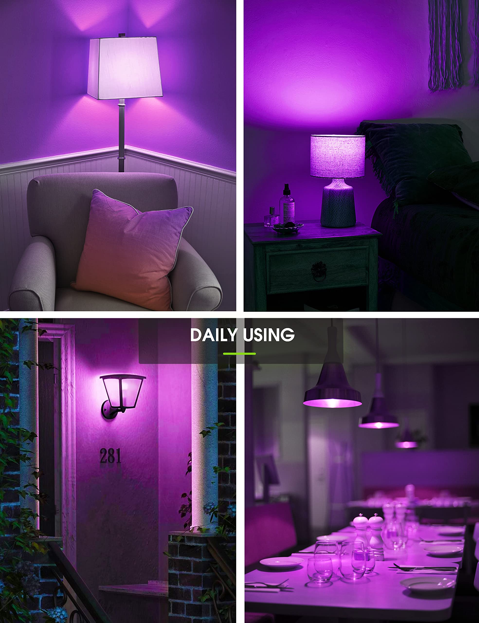 Purple Light Bulb Room