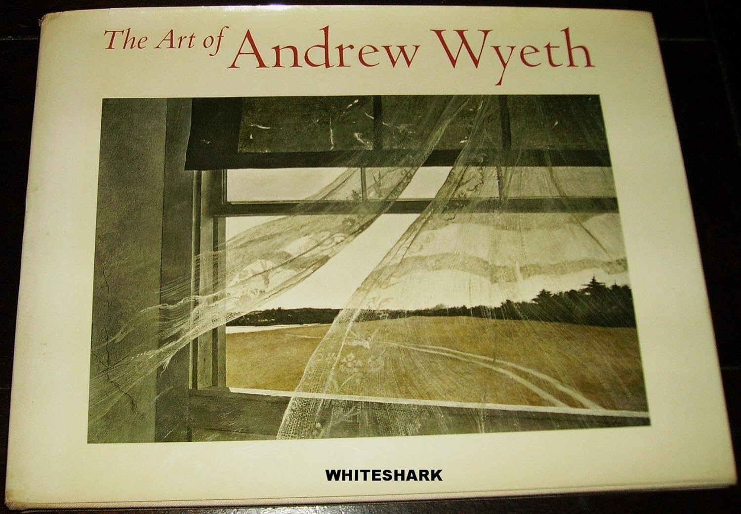 The art of Andrew Wyeth: Corn,Wanda M: 9780821205167: Amazon.com: Books