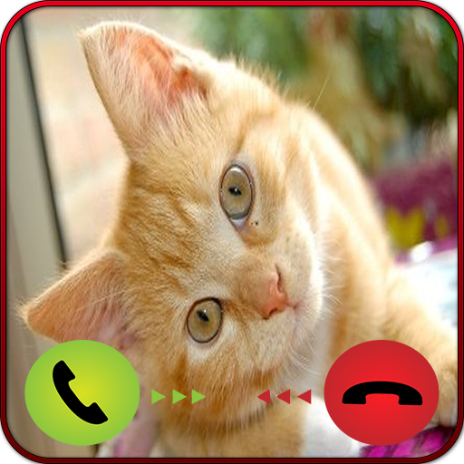 fake call cat - App on Amazon Appstore
