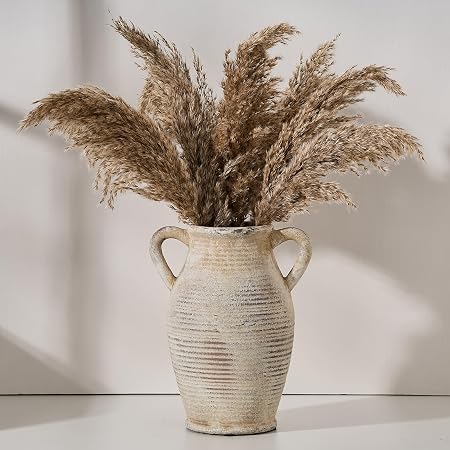 Amazon.com: Vaseking Large Ceramic Rustic Vase with 2 Handles, 9.8 inch ...