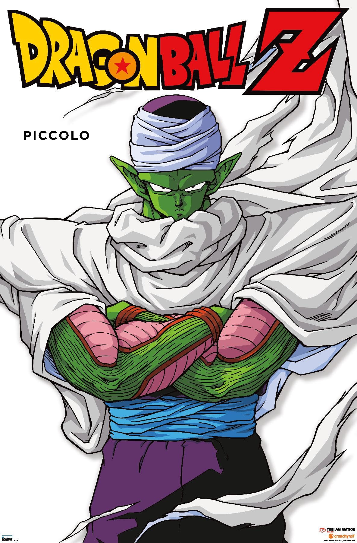 Piccolo Drawing