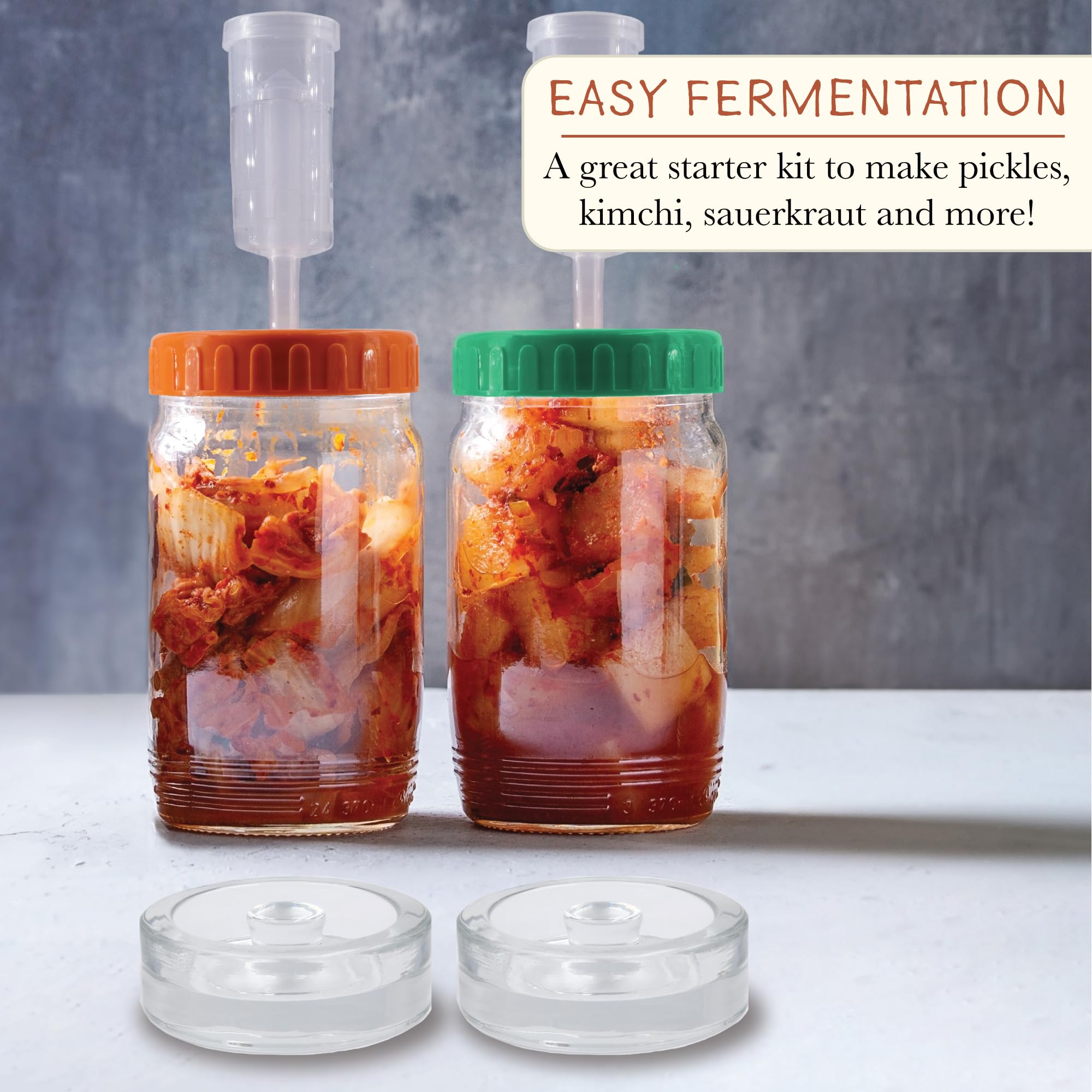 Snapklik.com : Fermentation Kit - Set Of 2 Glass Fermentation Weights ...