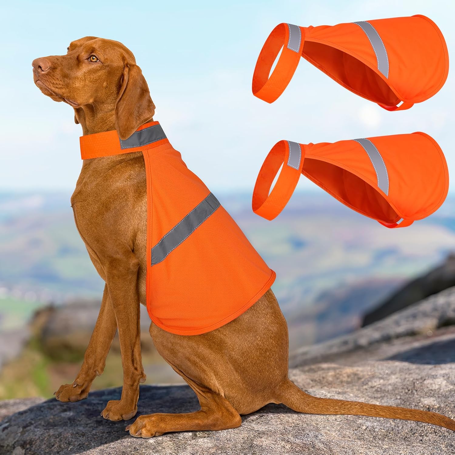 Amazon.com : 2 Pieces Dog Reflective Vest, Orange Dog Hunting Vest for ...