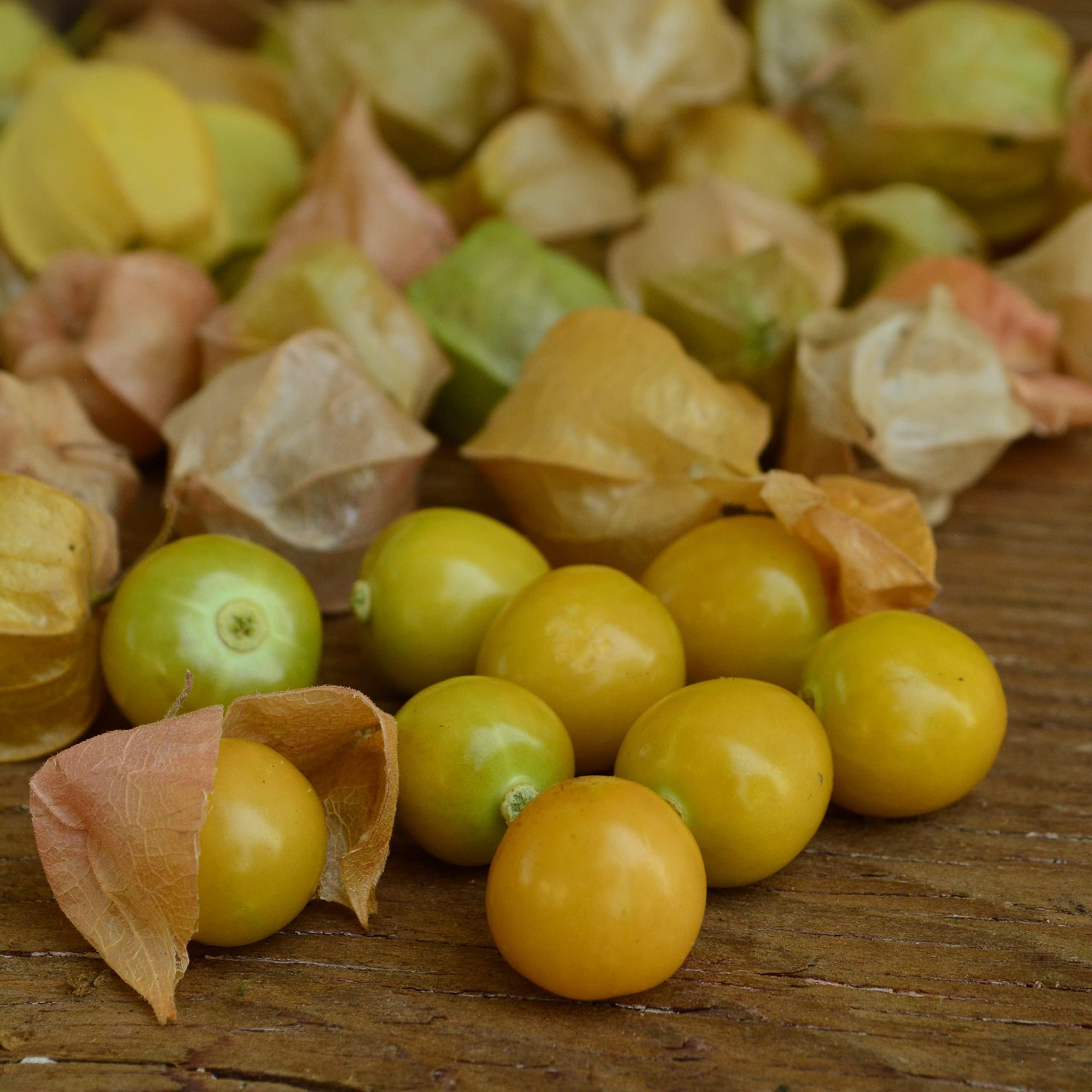 Amazon.com : Aunt Molly's Ground Cherry - 50 Seeds - Heirloom & Open ...