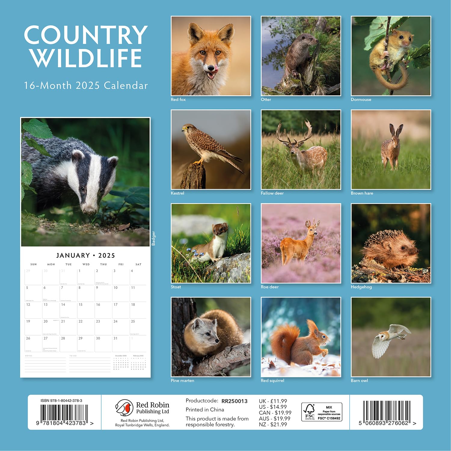 Country Wildlife – 2025 Square Wall Calendar – by Red Robin Publishing ...