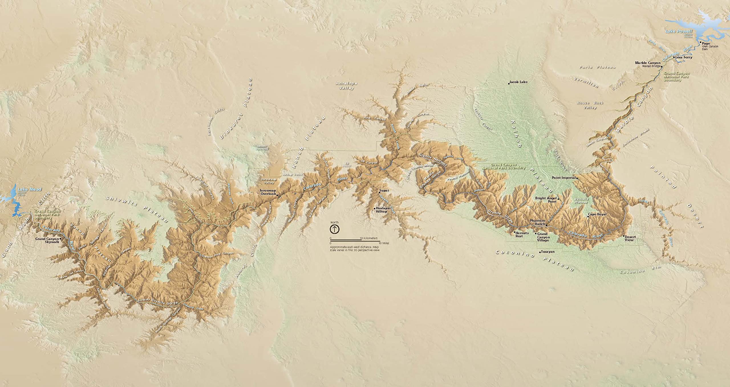 Amazon Home Comforts 3d Park Map Grand Canyon National Park