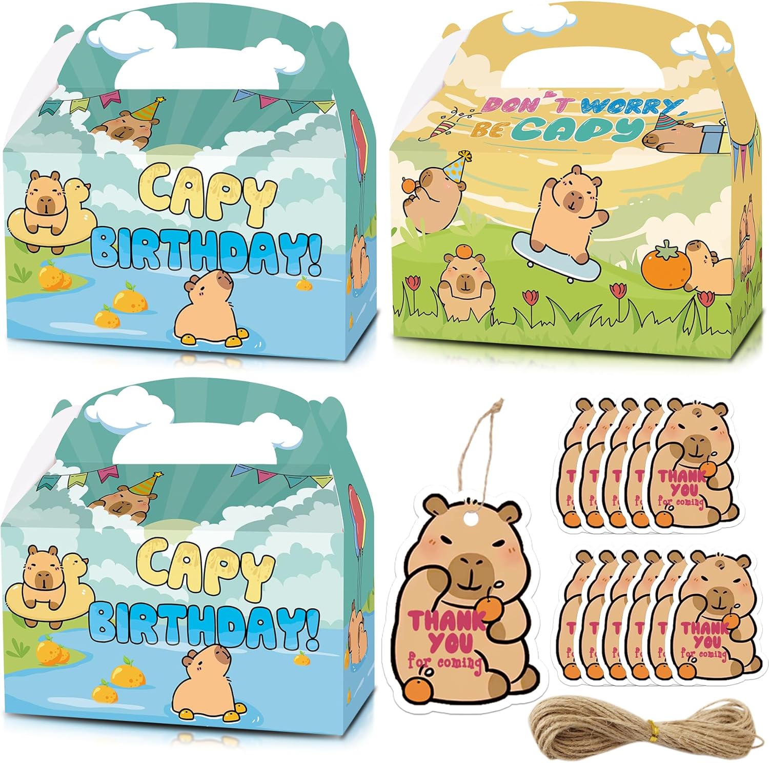 Amazon.com: KARAQY Capybara Party Favor Boxes, 12 Pcs Capybara Goodie ...