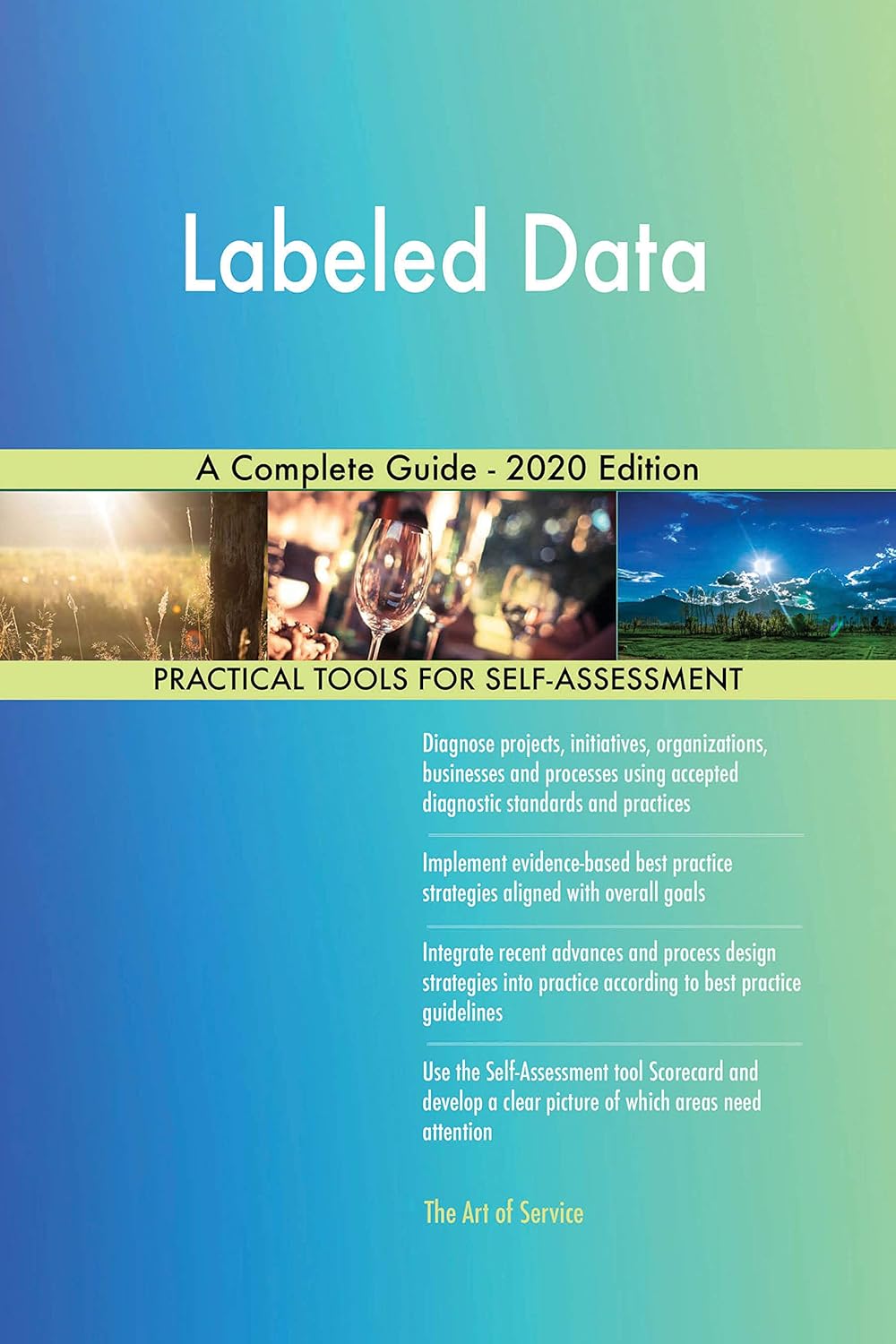 Amazon.com: Labeled Data A Complete Guide - 2020 Edition eBook ...