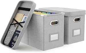 Amazon.com: Oterri File Organizer Box with Lid, Hanging Filing File Box ...