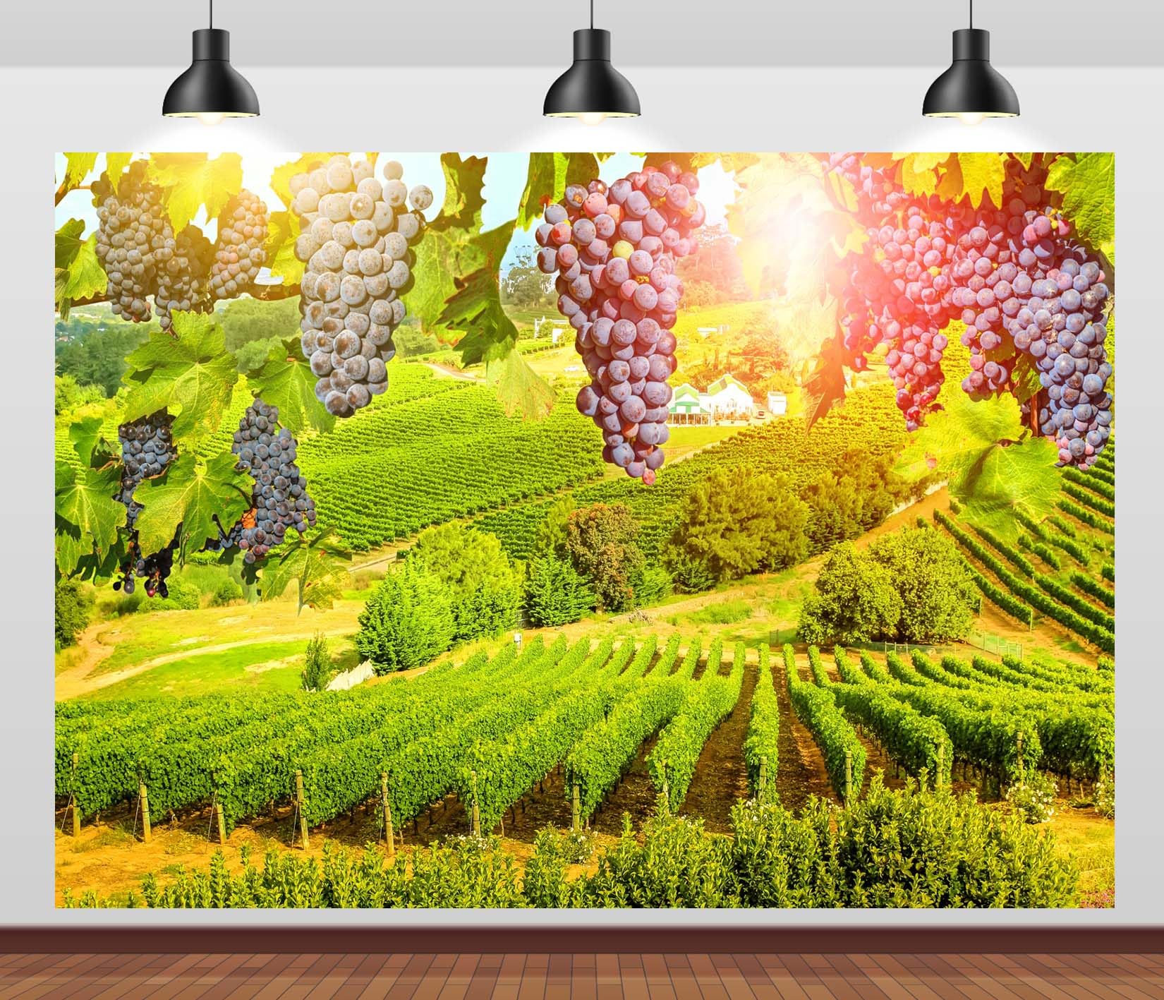 Wallpapers Vines Vineyard Wallpaper Vineyard Tulup.co.uk